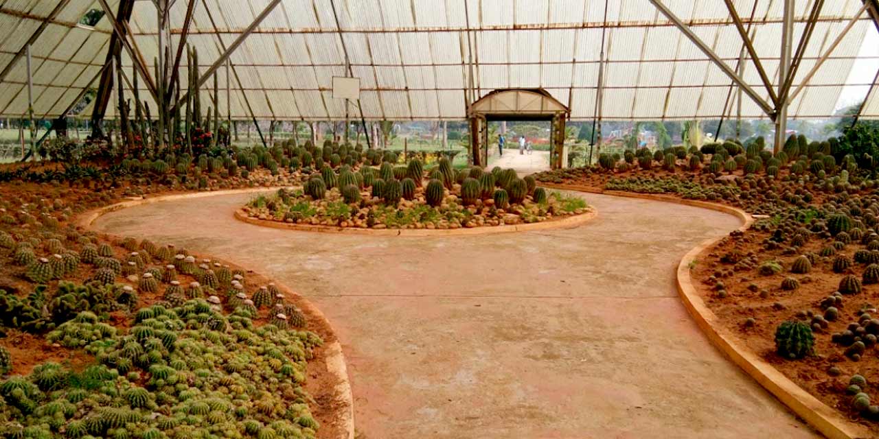 Ekamra Kanan Bhubaneswar (Entry Fee, Timings, Images & Location ...