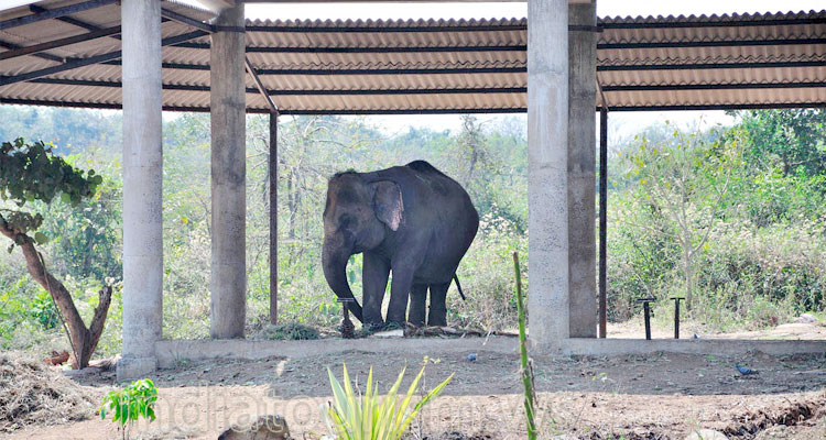 Nandankanan Zoological Park Bhubaneswar (Timings, Entry Fee, Safari ...