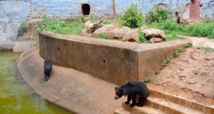 Nandankanan Zoological Park Bhubaneswar (Timings, Entry Fee, Safari ...