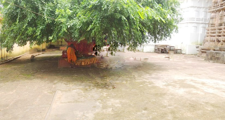 Sakshi Gopal Temple Puri (Timings, History, Entry Fee, Images, Aarti ...