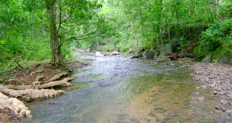 Satkosia Tiger Reserve Bhubaneswar (Entry Fee, Timings, Safari, Best ...