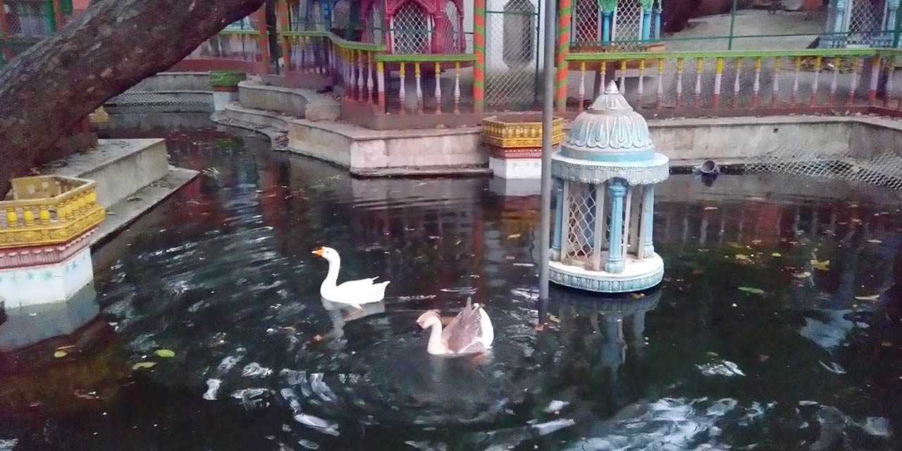 Tota Gopinatha Temple Puri (Timings, History, Entry Fee, Images, Aarti ...